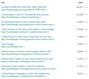 Travel Triangle Success Story | Business Model | Revenue